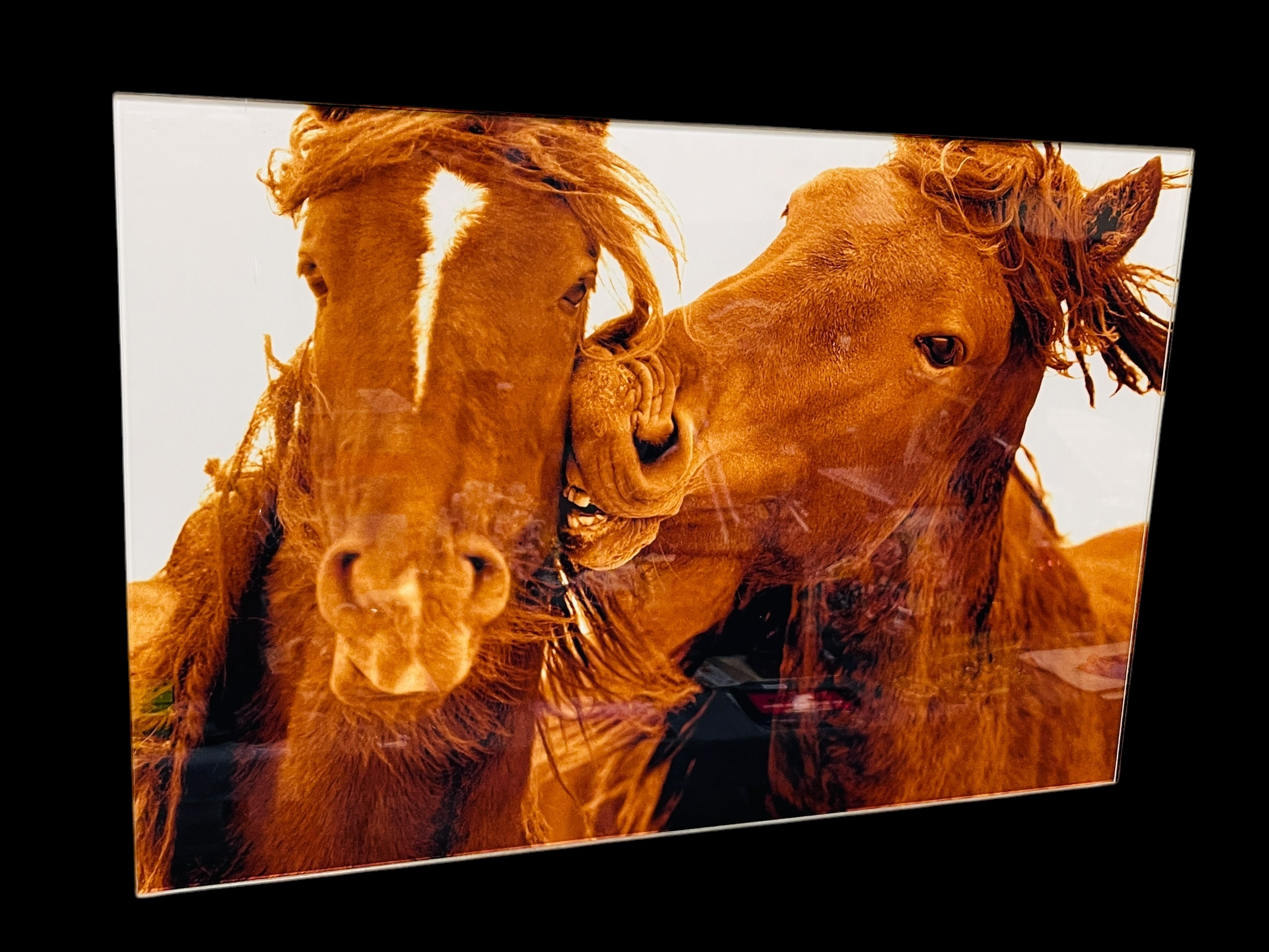 Premier Auctions – Online Bidding At It's Finest